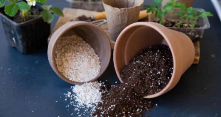 How To Know What Kind of Soil Is Best for Your Window Boxes