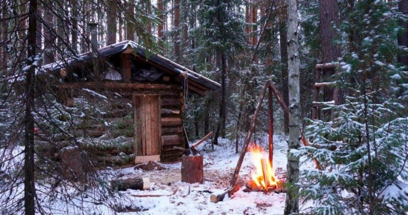 Surviving Winter with the Help of a Small Shed